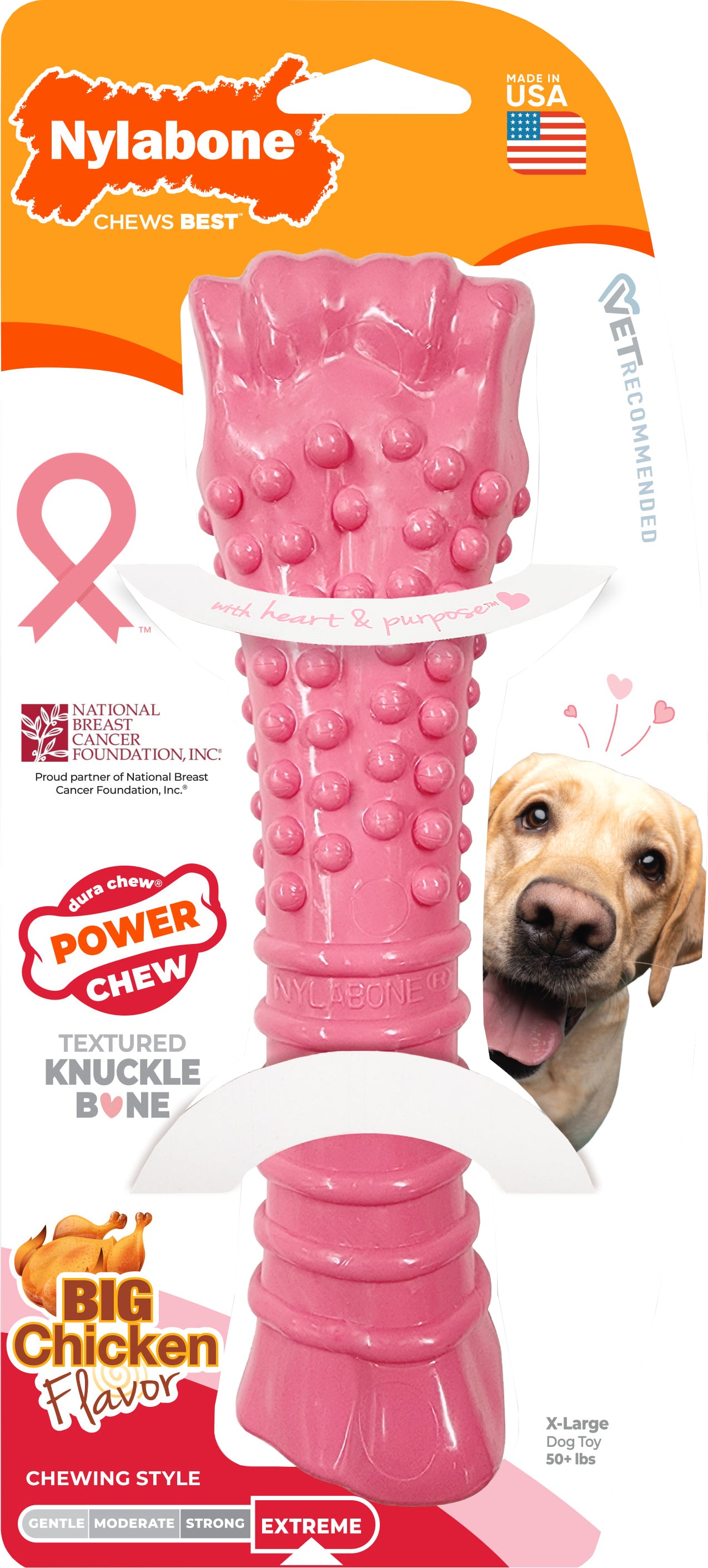 Nylabone Power Chew Pink Breast Cancer Awareness – Perk Valley Pet Eatery